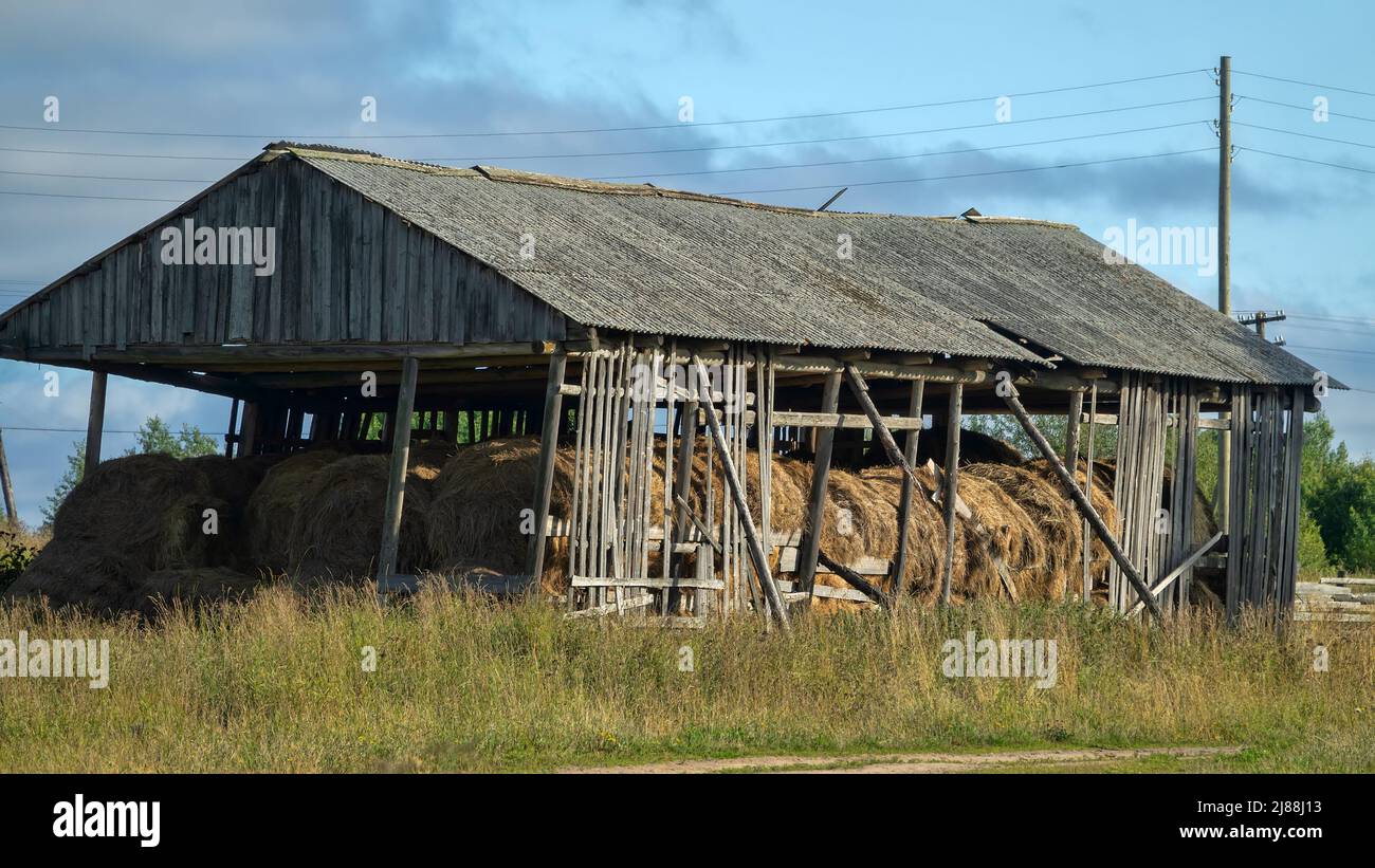 Old hayloft with hay rolls in a poor private farm, state hay purchasing ...