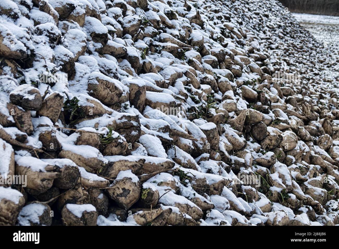 Storing bunker hi-res stock photography and images - Alamy