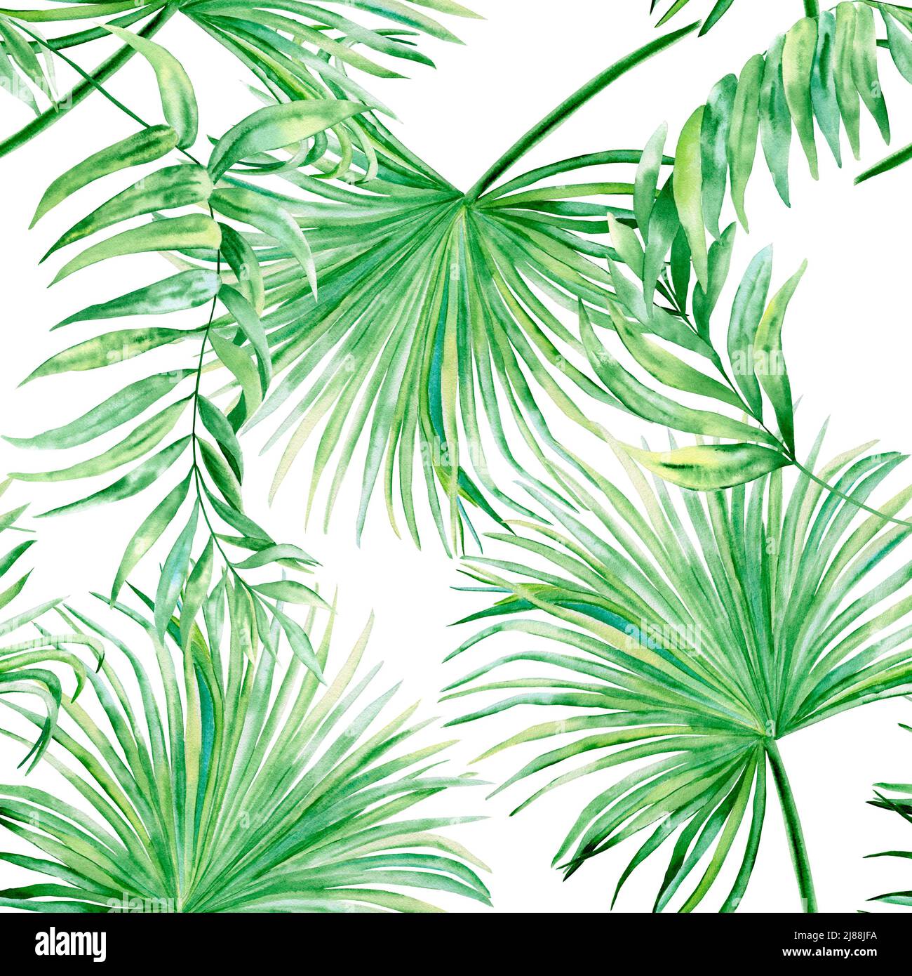 Tropical exotic bush leaves hi-res stock photography and images - Alamy