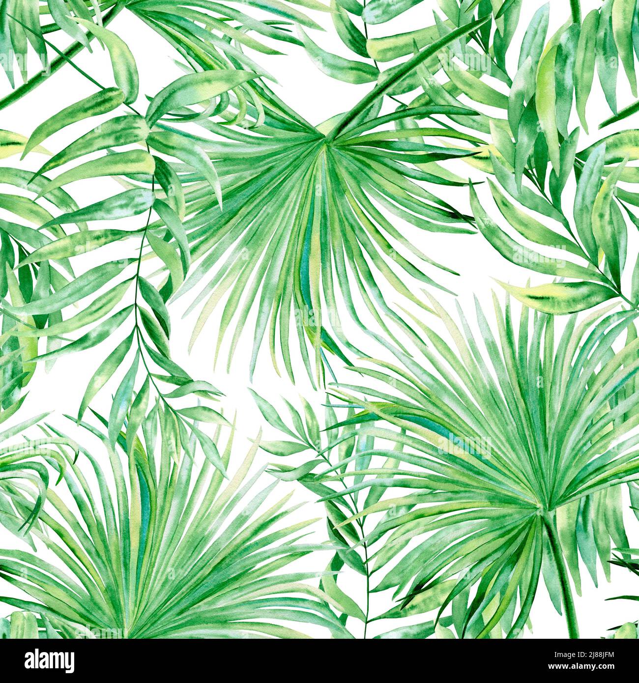 Jungle pattern hi-res stock photography and images - Alamy