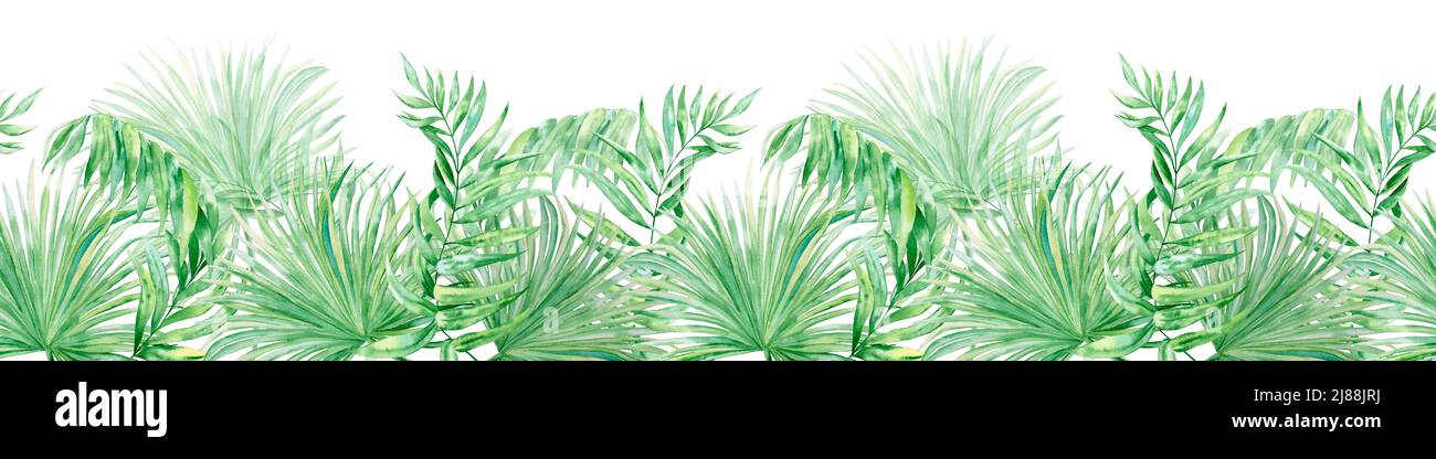 Jungle leaves border hi-res stock photography and images - Alamy