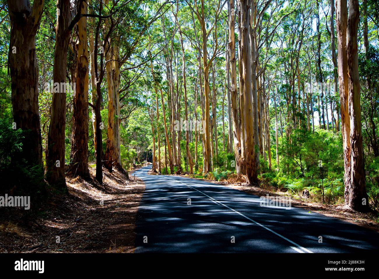 Caves Road - Margaret River - Western Australia Stock Photo - Alamy
