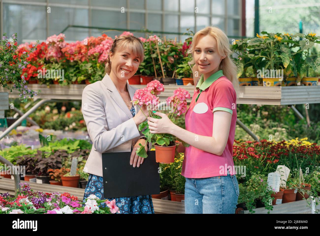 Gardener and his manager work in modern nursery plant store with a ...
