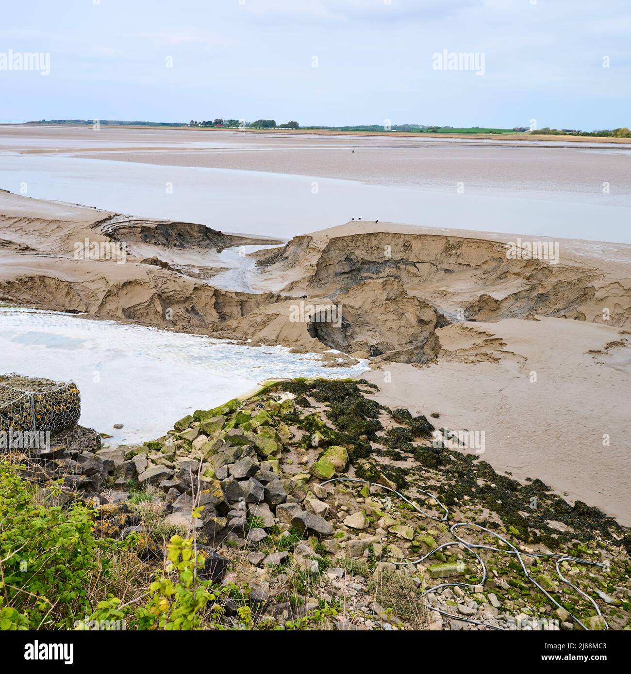 Mud bank with white industrial discharge at base, River Wyre at ...