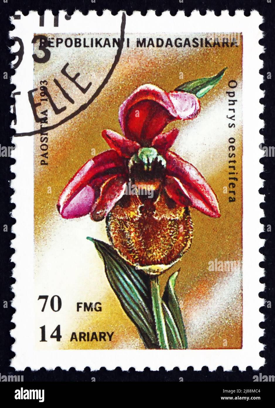 REPUBLICA MALAGASY - CIRCA 1993: a stamp printed in the Malagasy ...