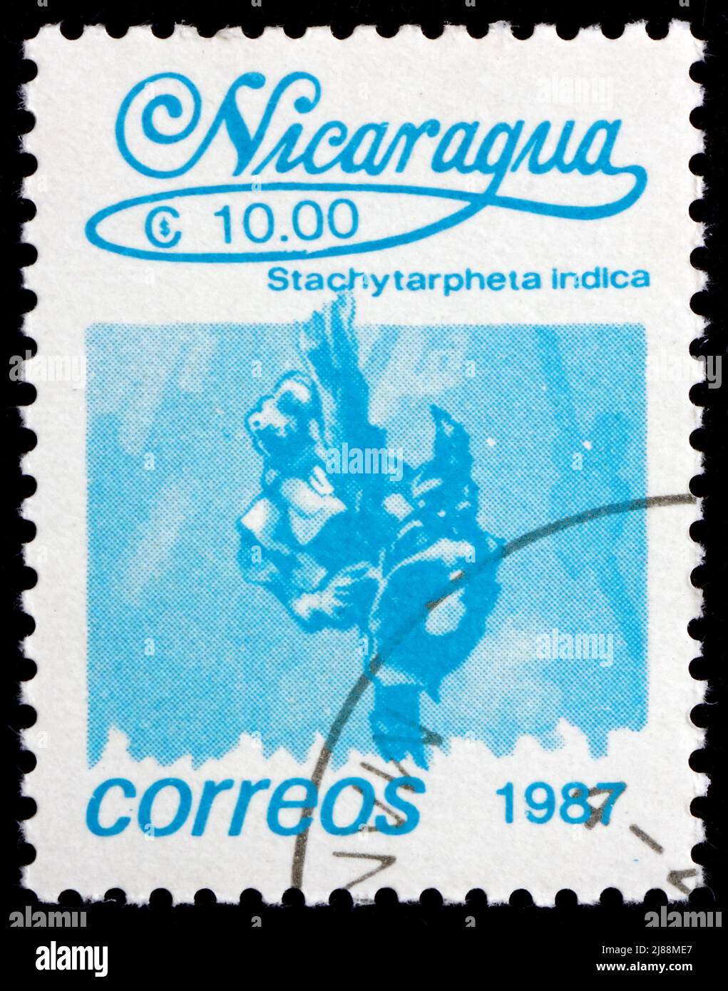 NICARAGUA - CIRCA 1987: a stamp printed in Nicaragua shows Indian ...