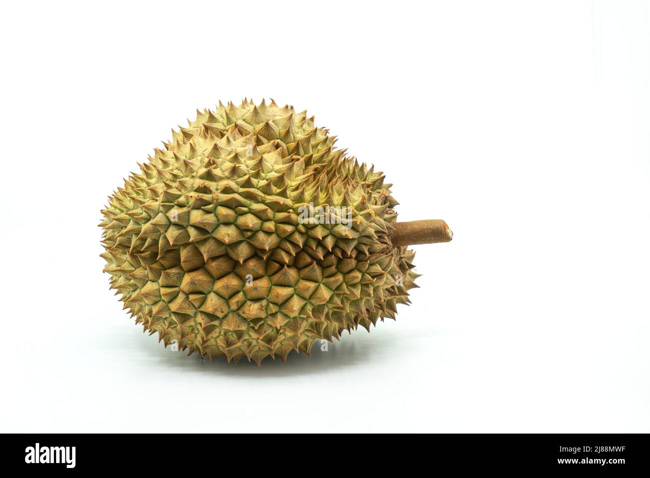 The whole Thailand Durian fruit on white background, isolated Durian ...