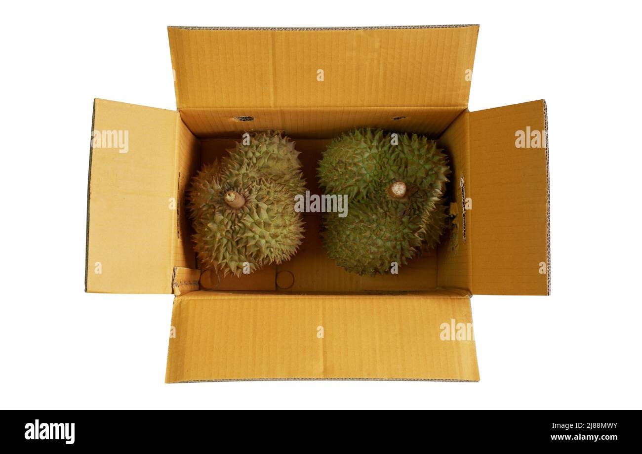 Isolated brown carton with two fresh Durian inside, brown cardboard box ...