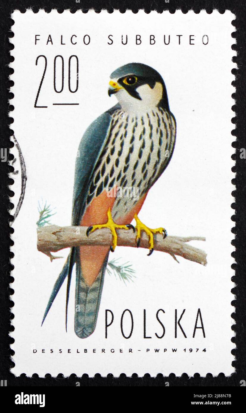 POLAND - CIRCA 1975: a stamp printed in the Poland shows Hobby Falcon ...
