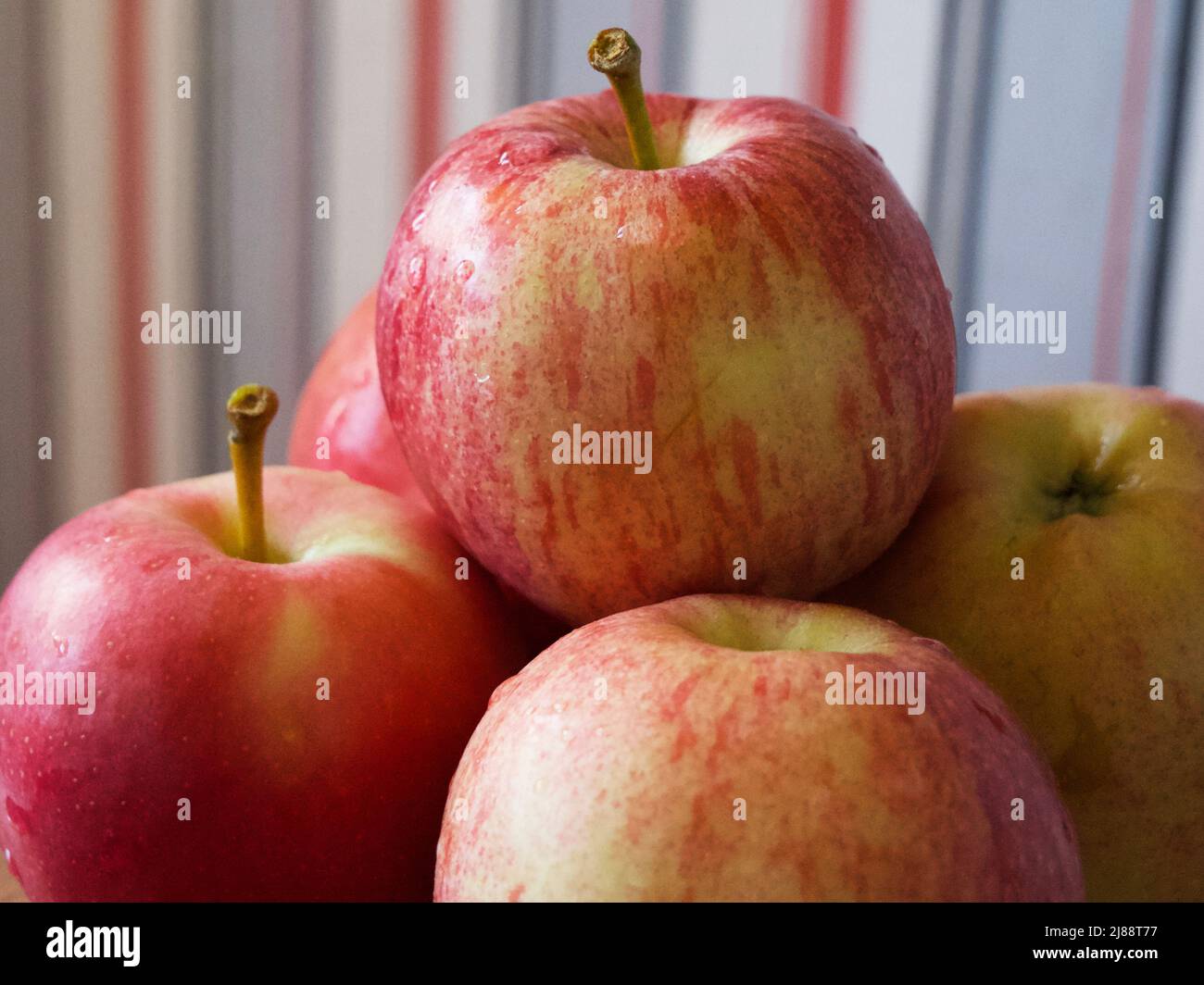 A few ripe striped apples, a close-up shot. Apples of the gala and ...
