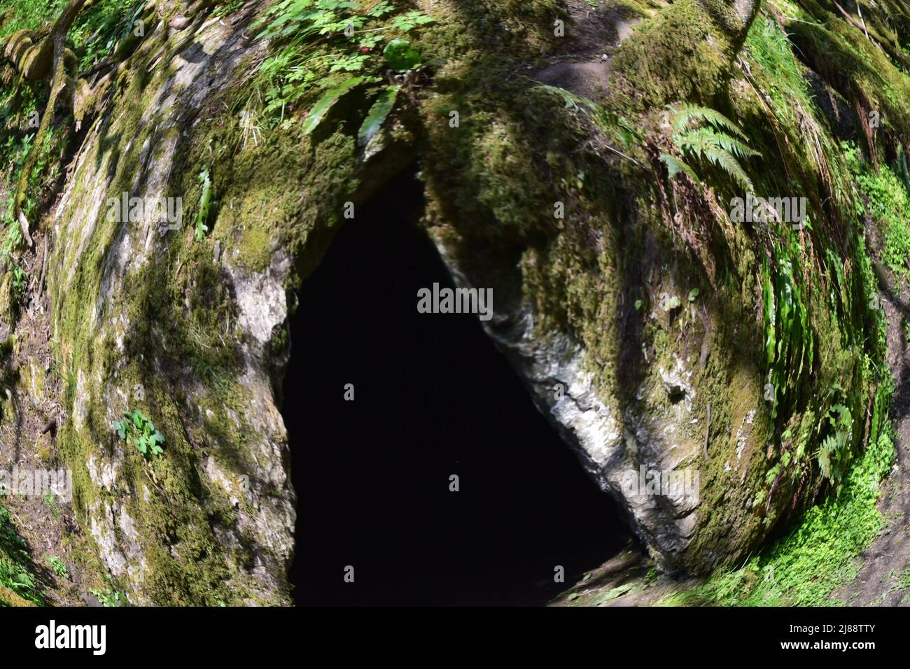 Fish eye views give a different perspective Stock Photo - Alamy