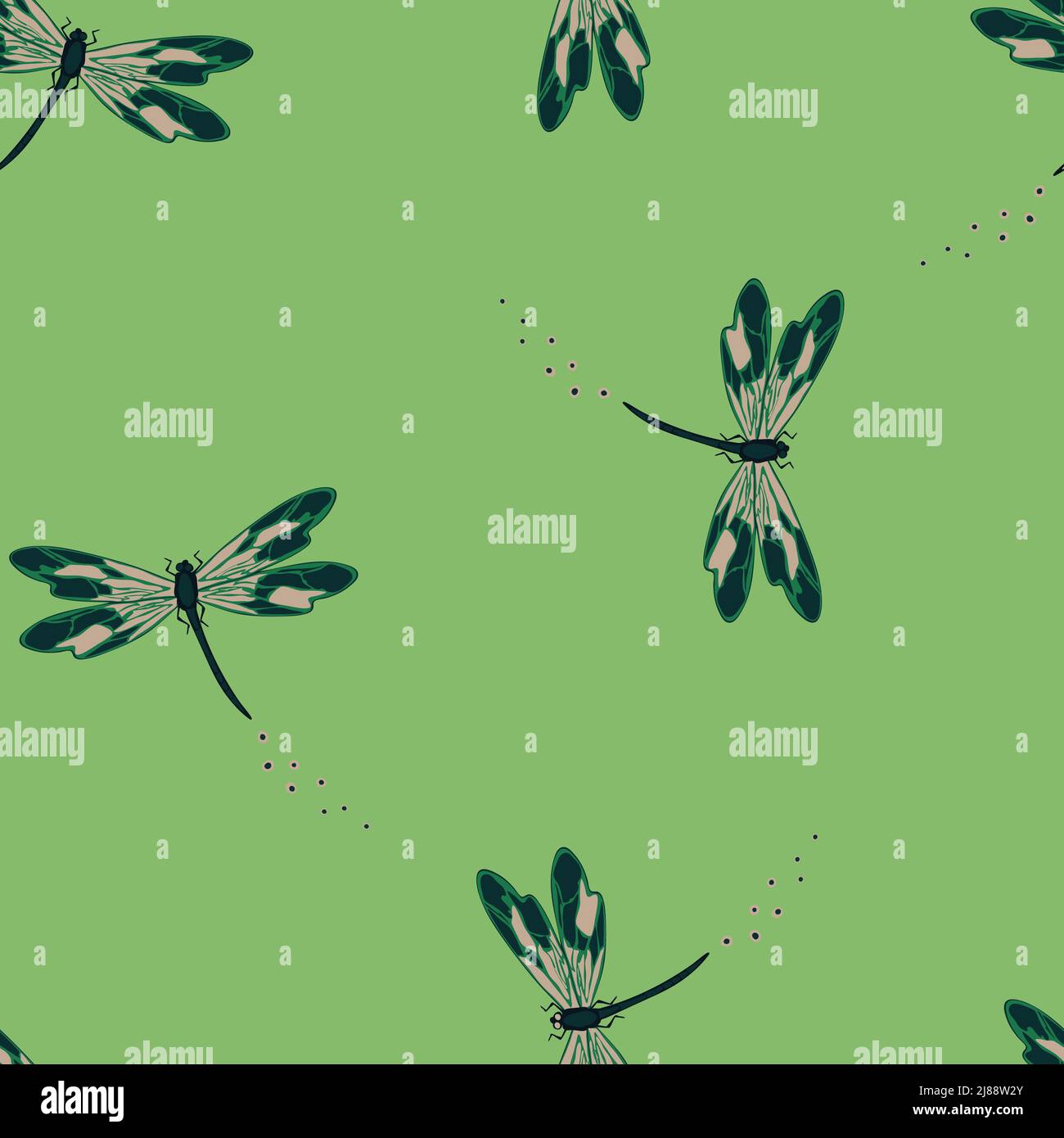 Soft insect texture Stock Vector Images - Alamy
