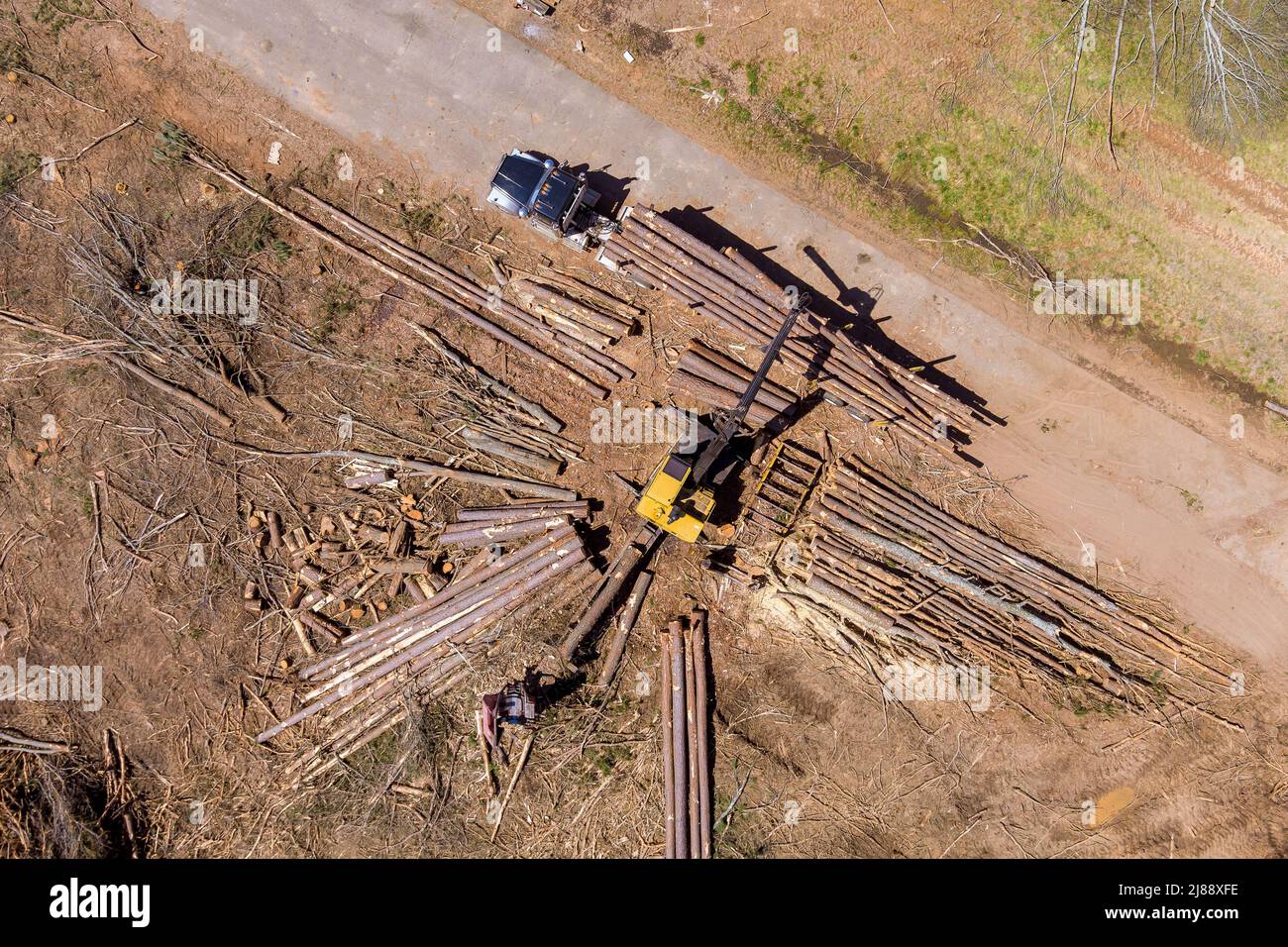 Crane lifting timber hi-res stock photography and images - Alamy