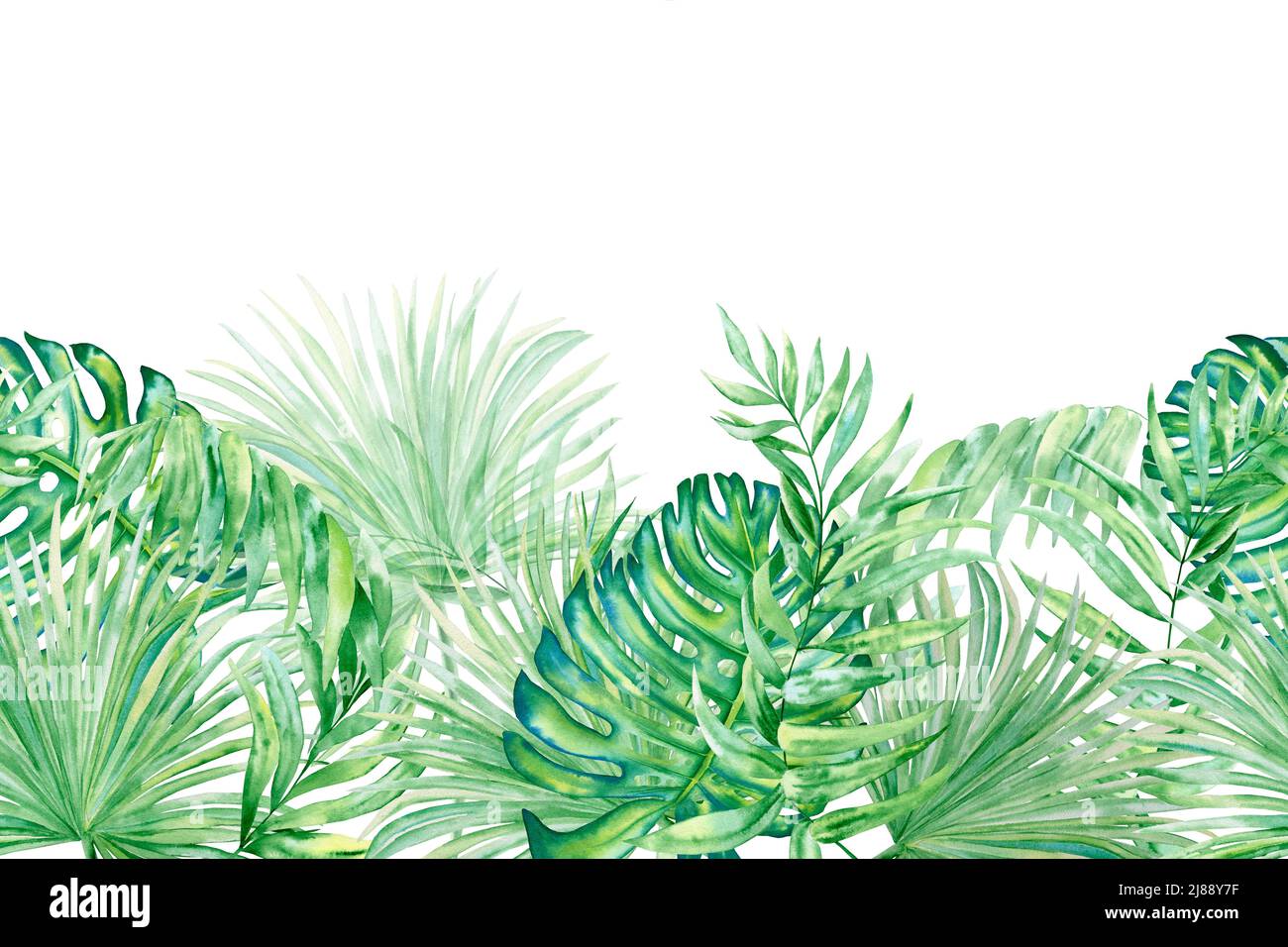 Tropical leaves watercolor horizontal seamless pattern. Hand drawn ...