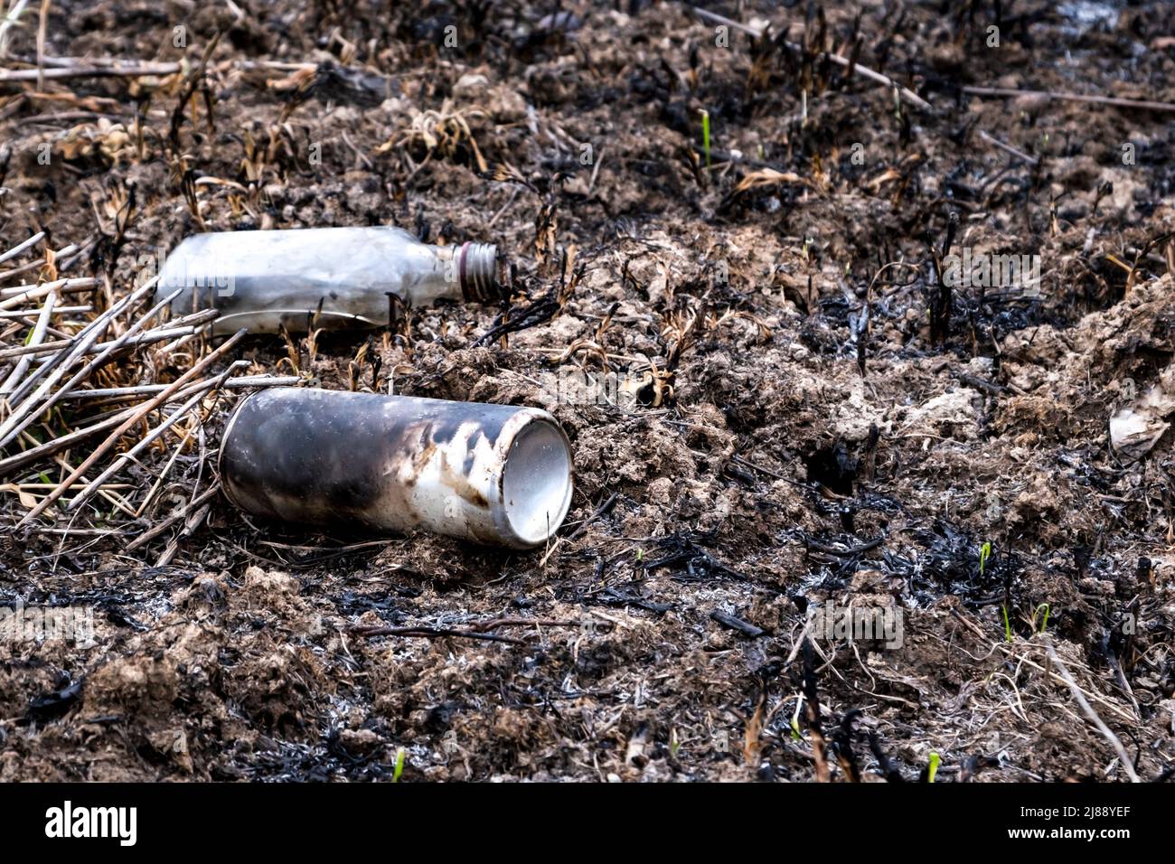 Abandoned beer can and alcohol bottle on the forest fire. Dry grass ...