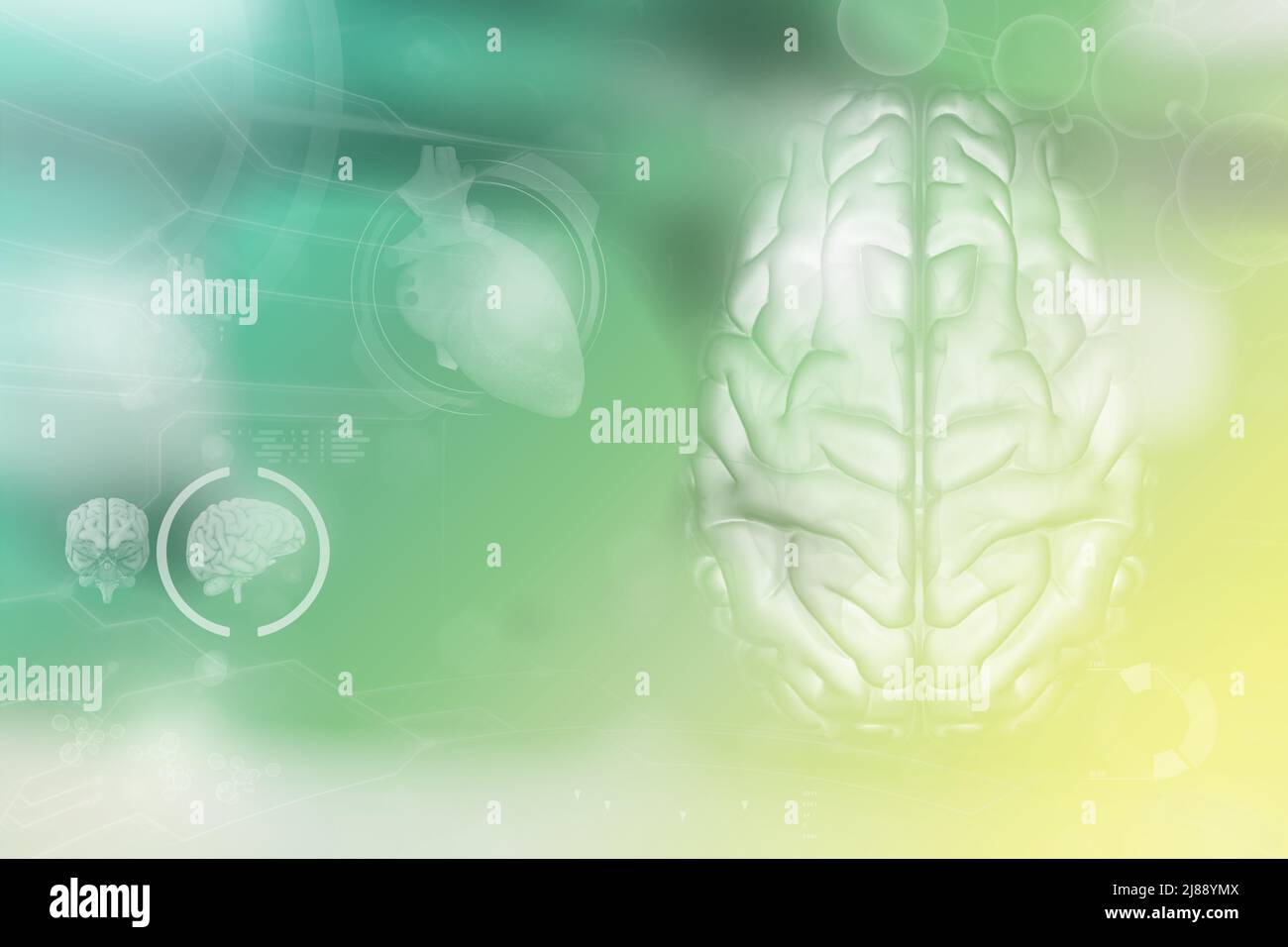 Medical 3D illustration - human brain, cerebrum analyzing concept ...