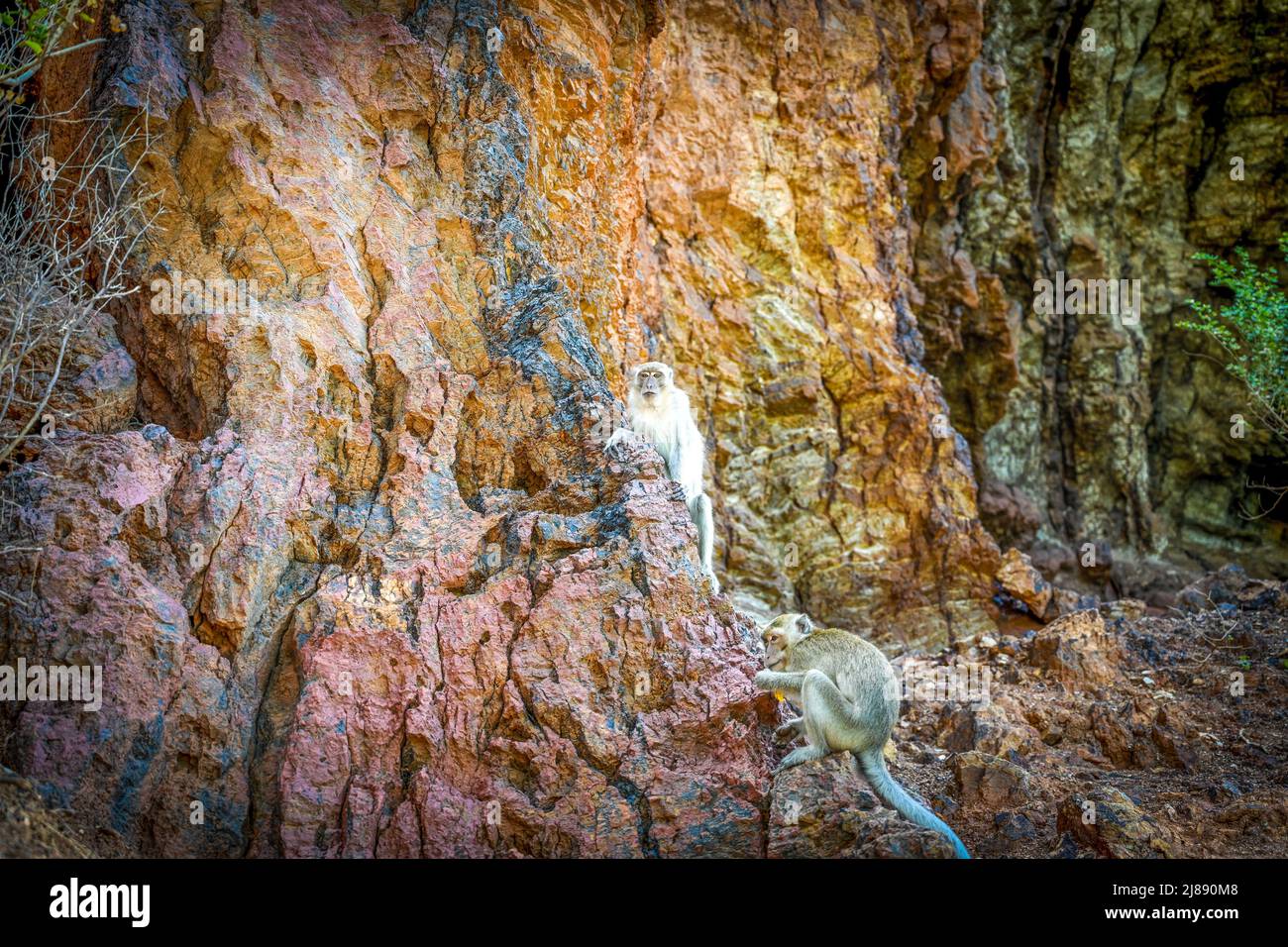 Ko Lan island eastern part of the Central Region of Thailand. Ko Lan ...