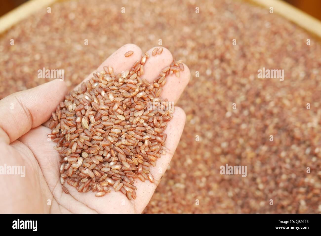 Rice and hand hi-res stock photography and images - Alamy