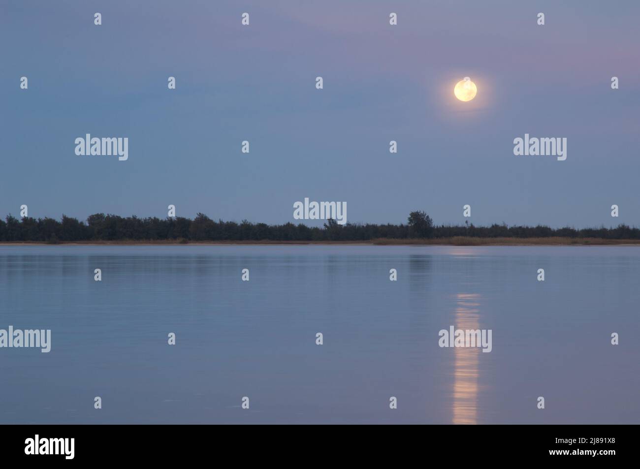 Full moon at sunset over the Senegal River. Langue de Barbarie National ...