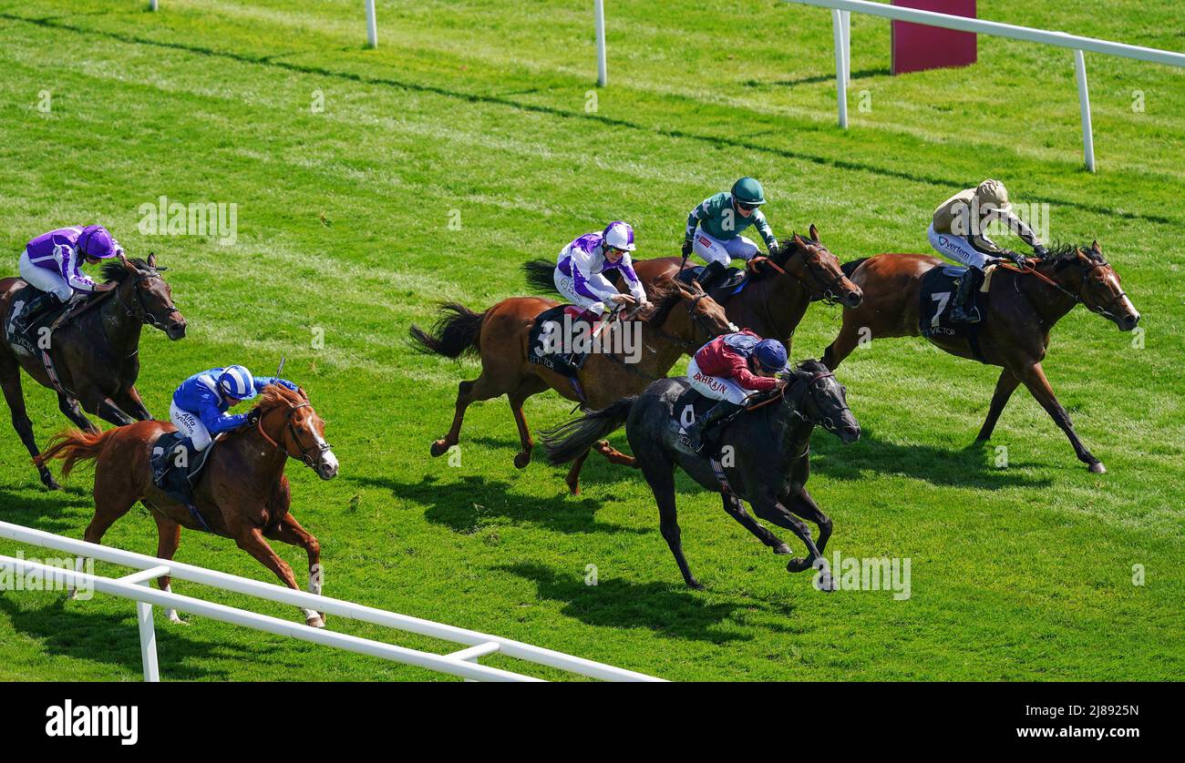 Tiber flow horse hi-res stock photography and images - Alamy