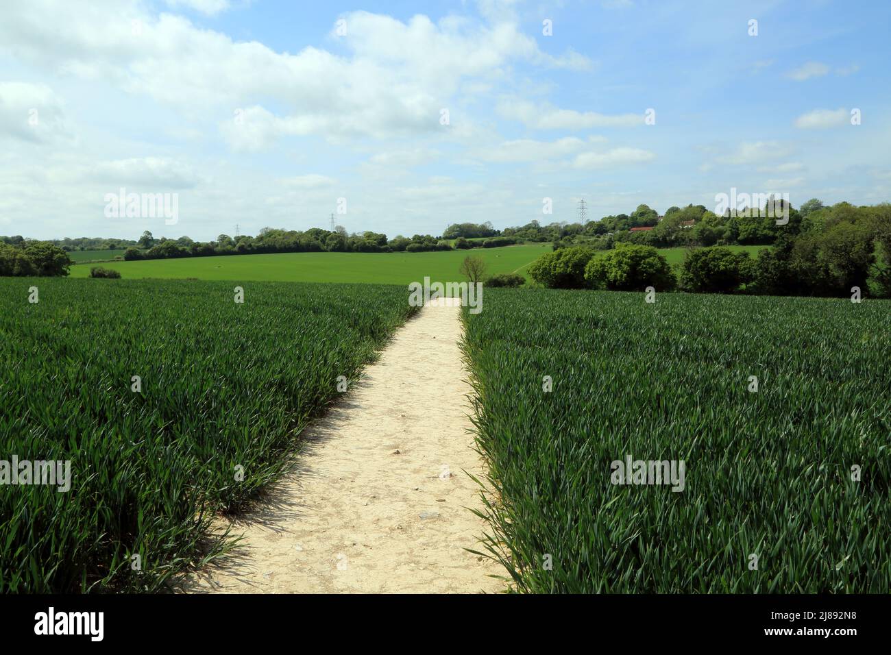 Long distance footpath looking towards Shepherdswell on the Via ...