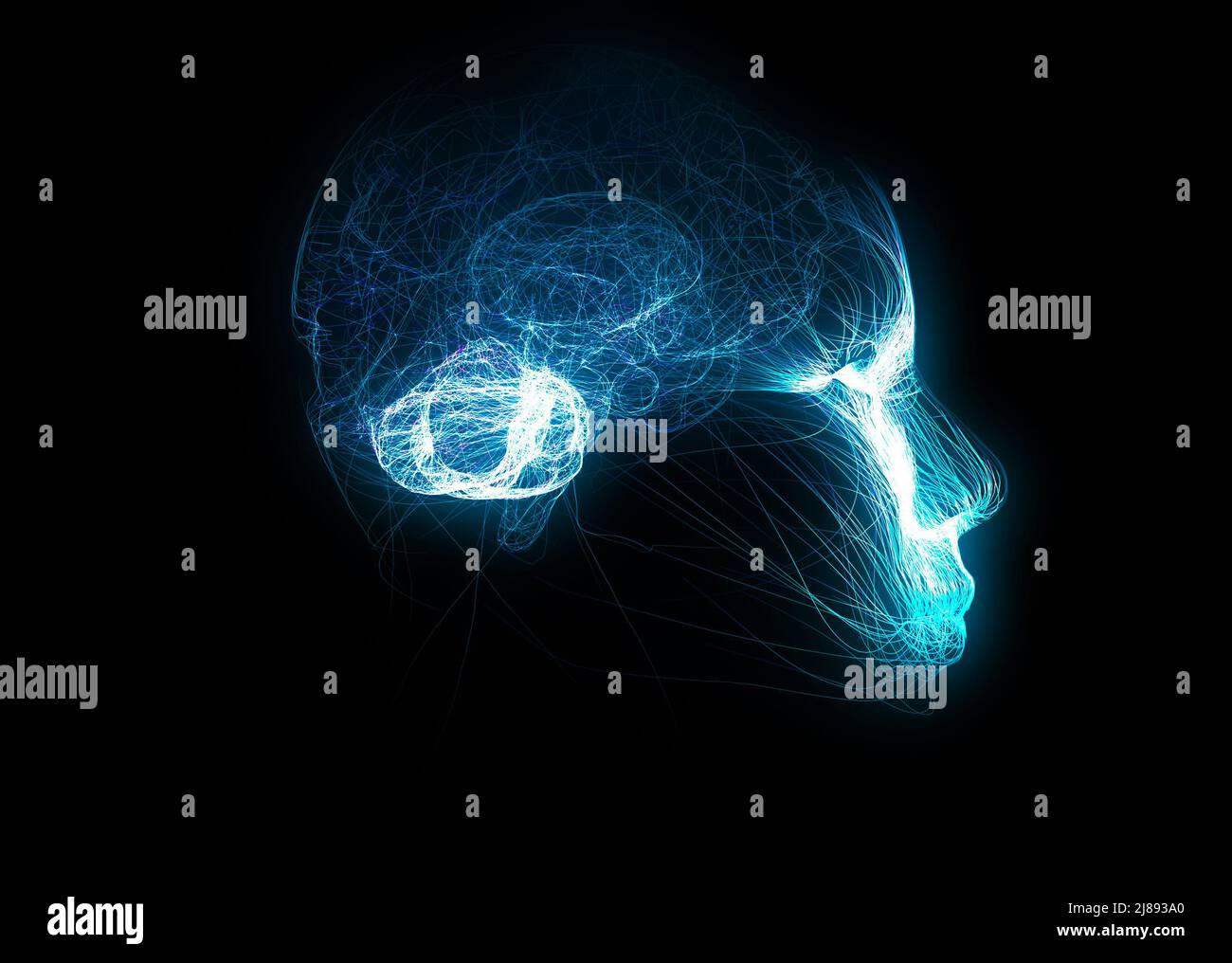 Neurology, philosophy: connections, the development of thought and ...