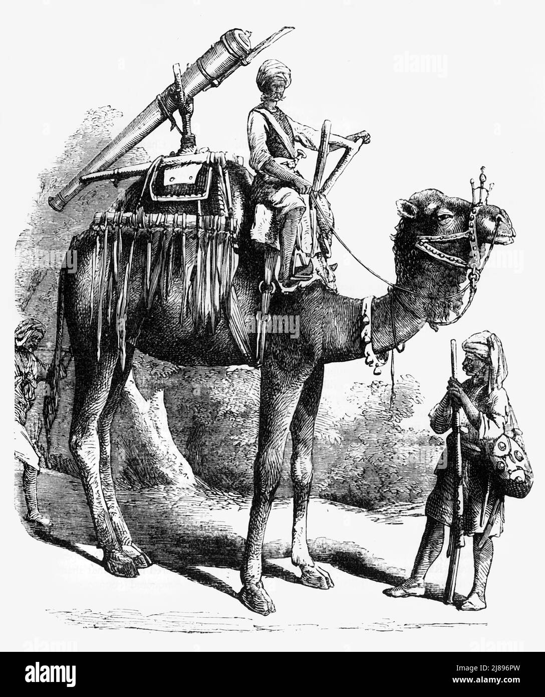 Jingall hi-res stock photography and images - Alamy