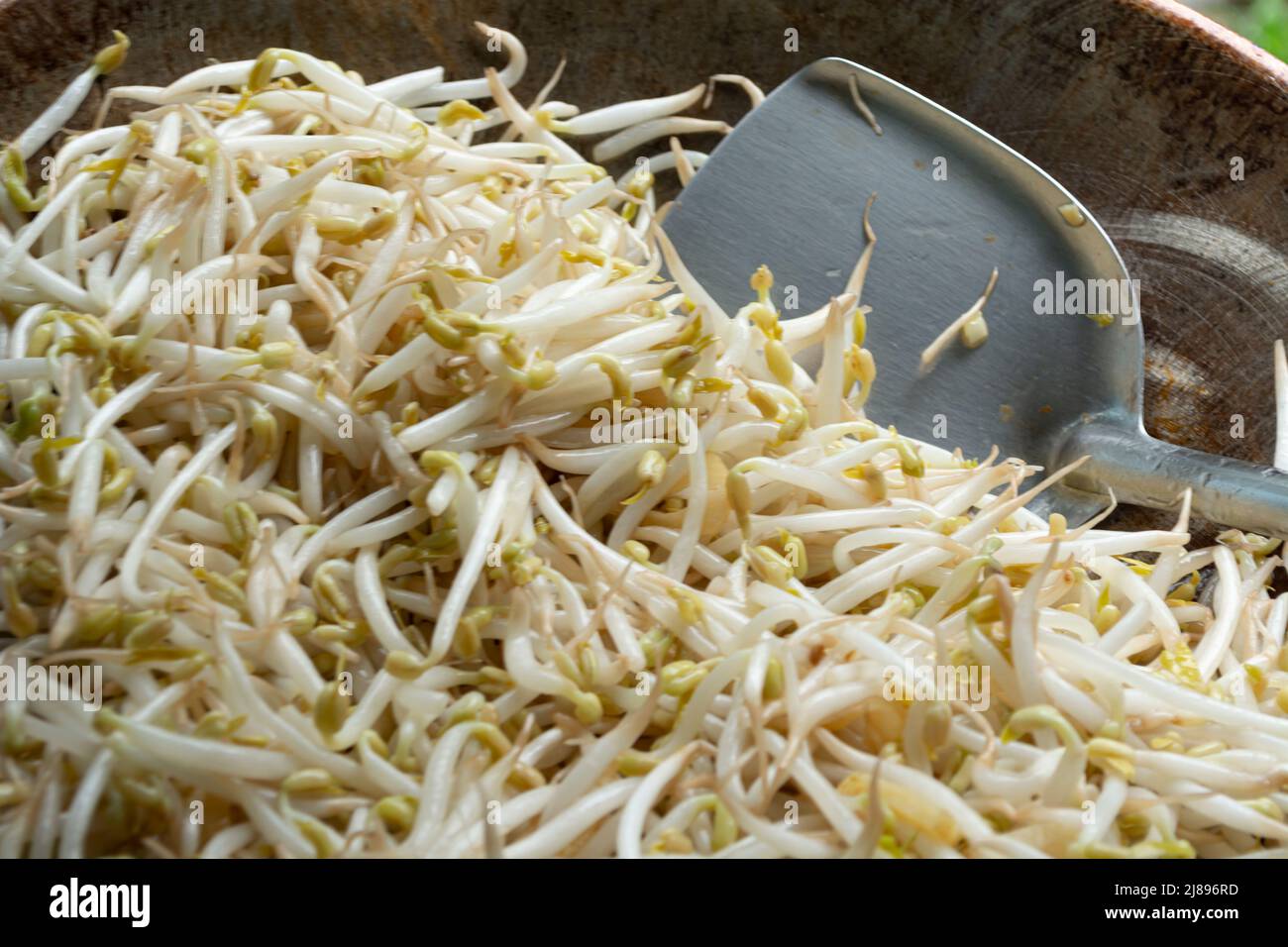 Cooked bean sprouts on a steel pan at a restaurant. An Asian vegetables ...