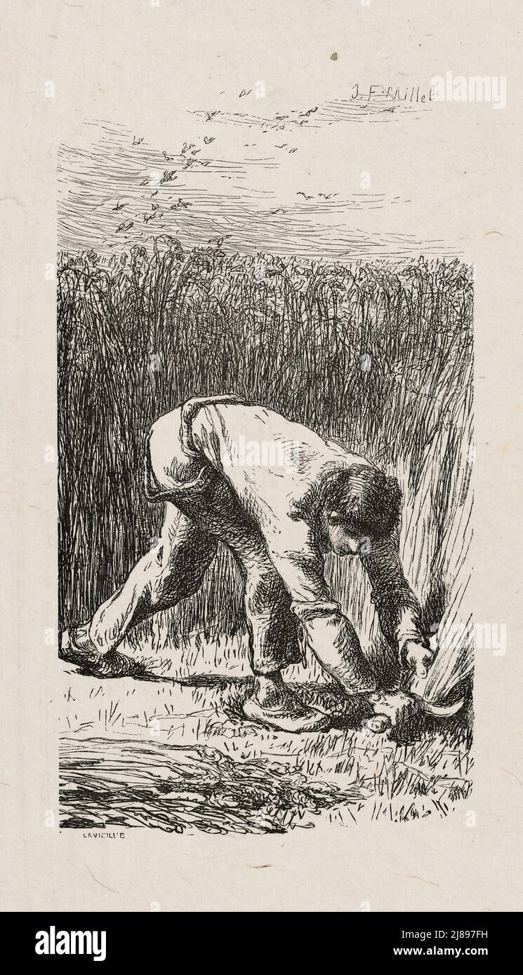 Reaper, 1853, after drawing made in 1852 Stock Photo - Alamy