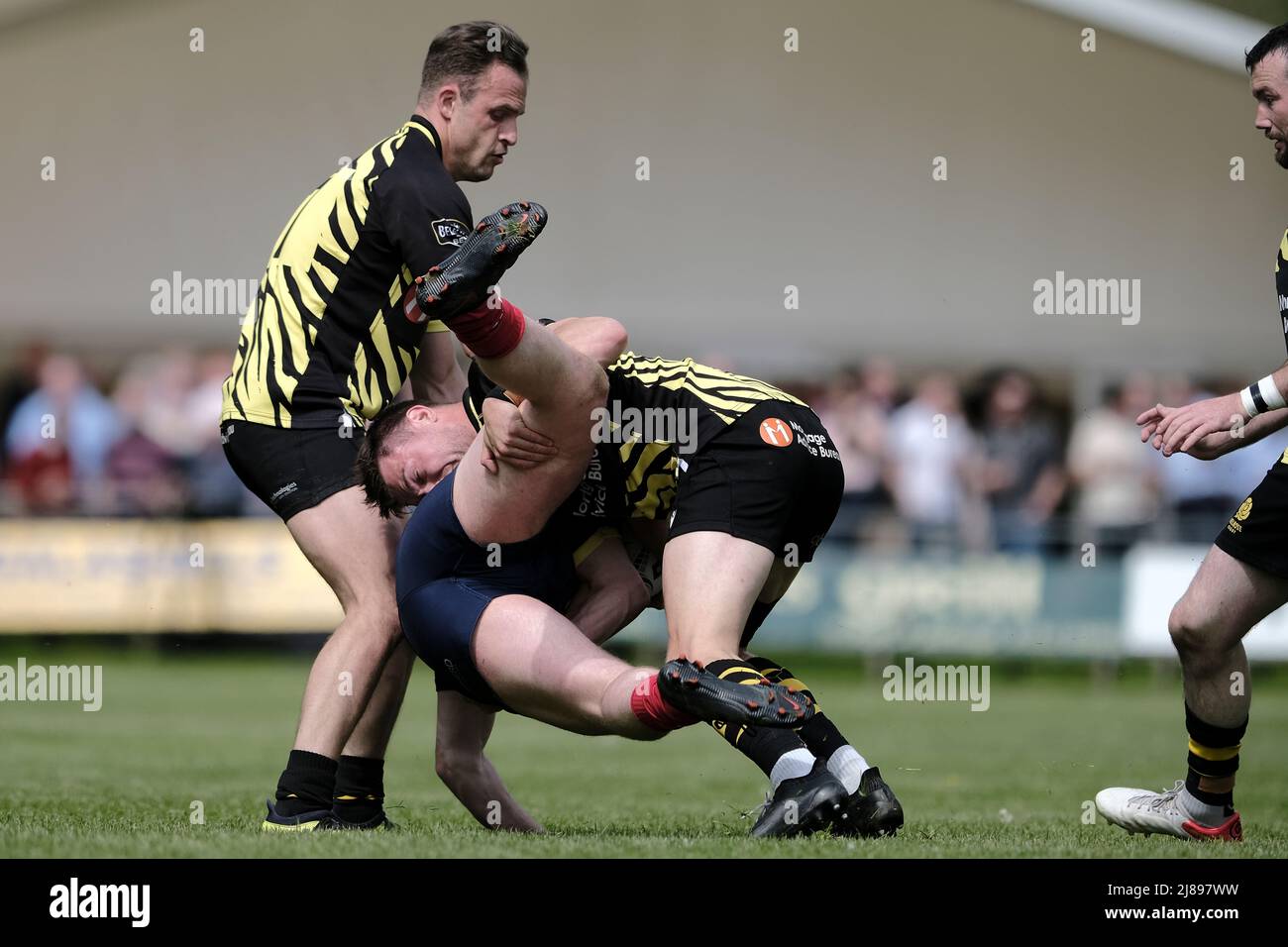 Musselburgh rfc hi-res stock photography and images - Alamy