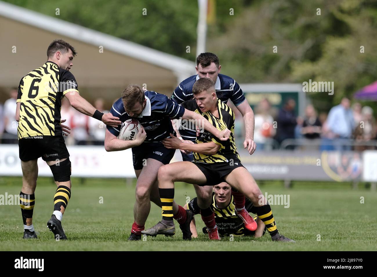 Musselburgh rfc hi-res stock photography and images - Alamy