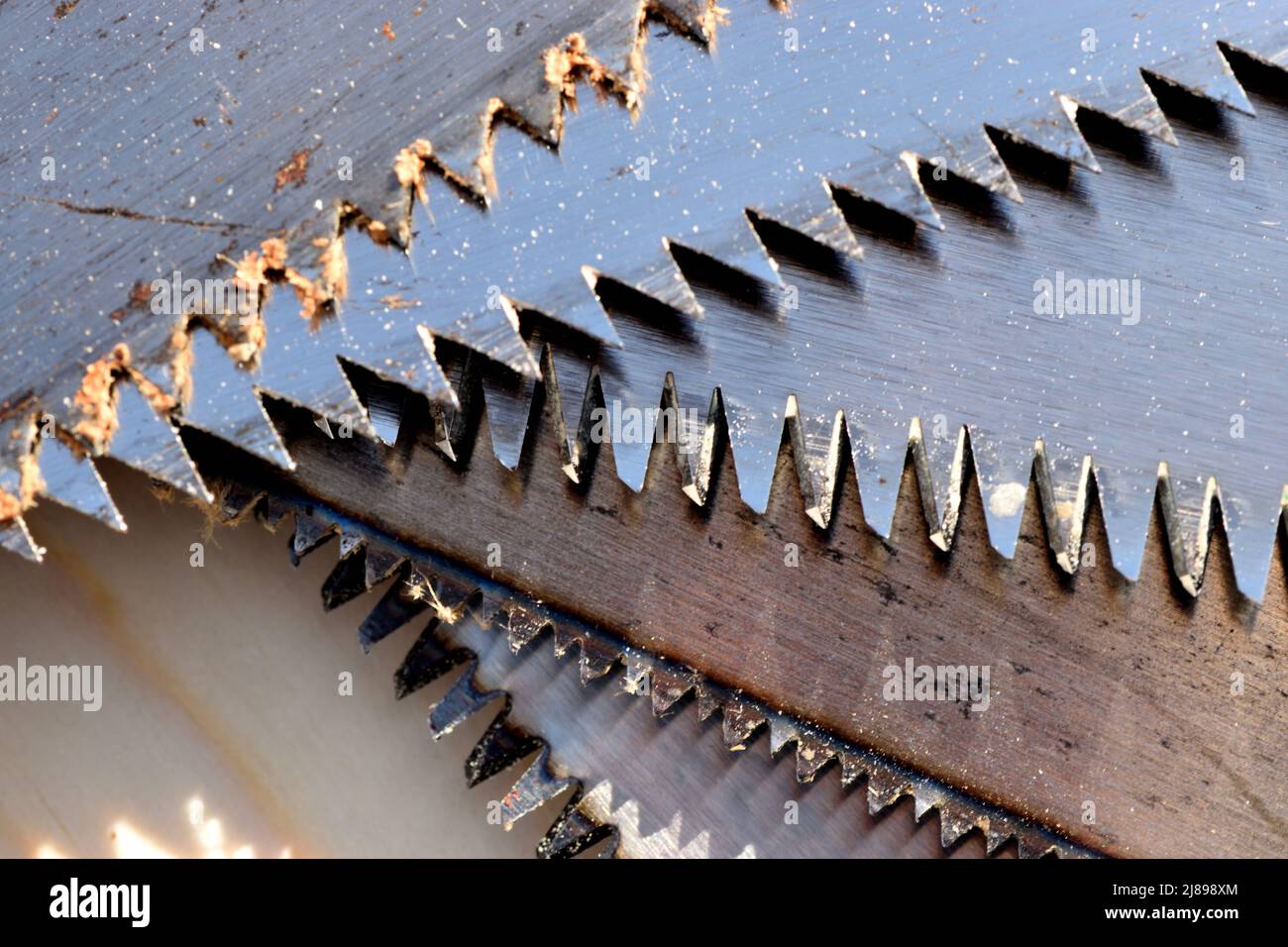 Closeup image of different saw blades showing teeth Stock Photo - Alamy