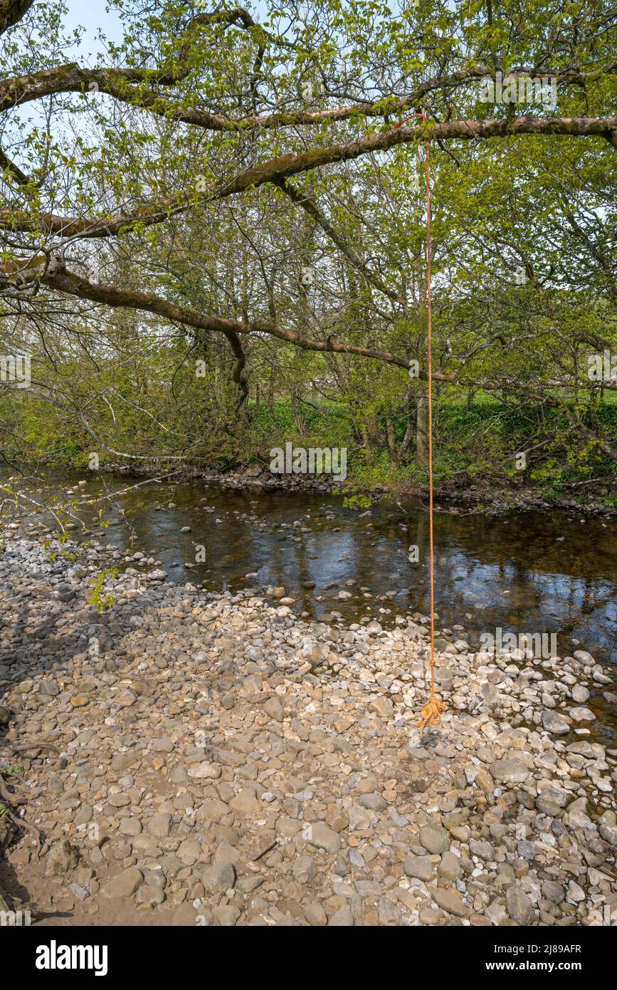 Rope swing over river in Cumbrian Dales Stock Photo - Alamy