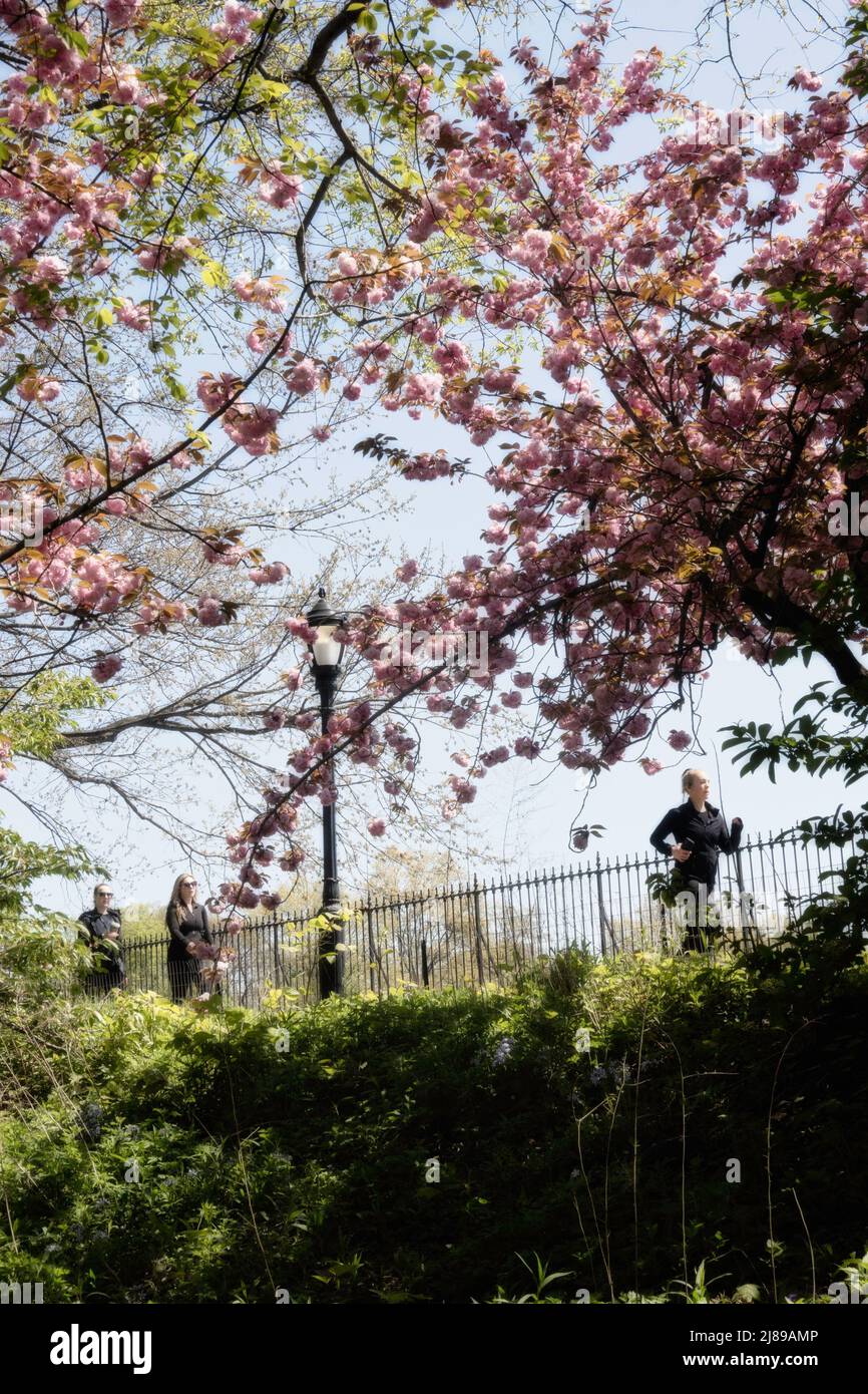 The Stephanie and Fred Shuman Running Track in Central Park is ...