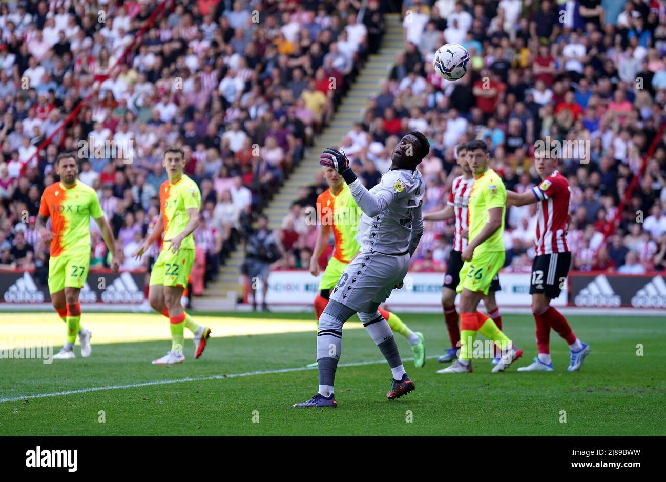 Nottingham Forest goalkeeper Brice Samba watches a loose ball during ...