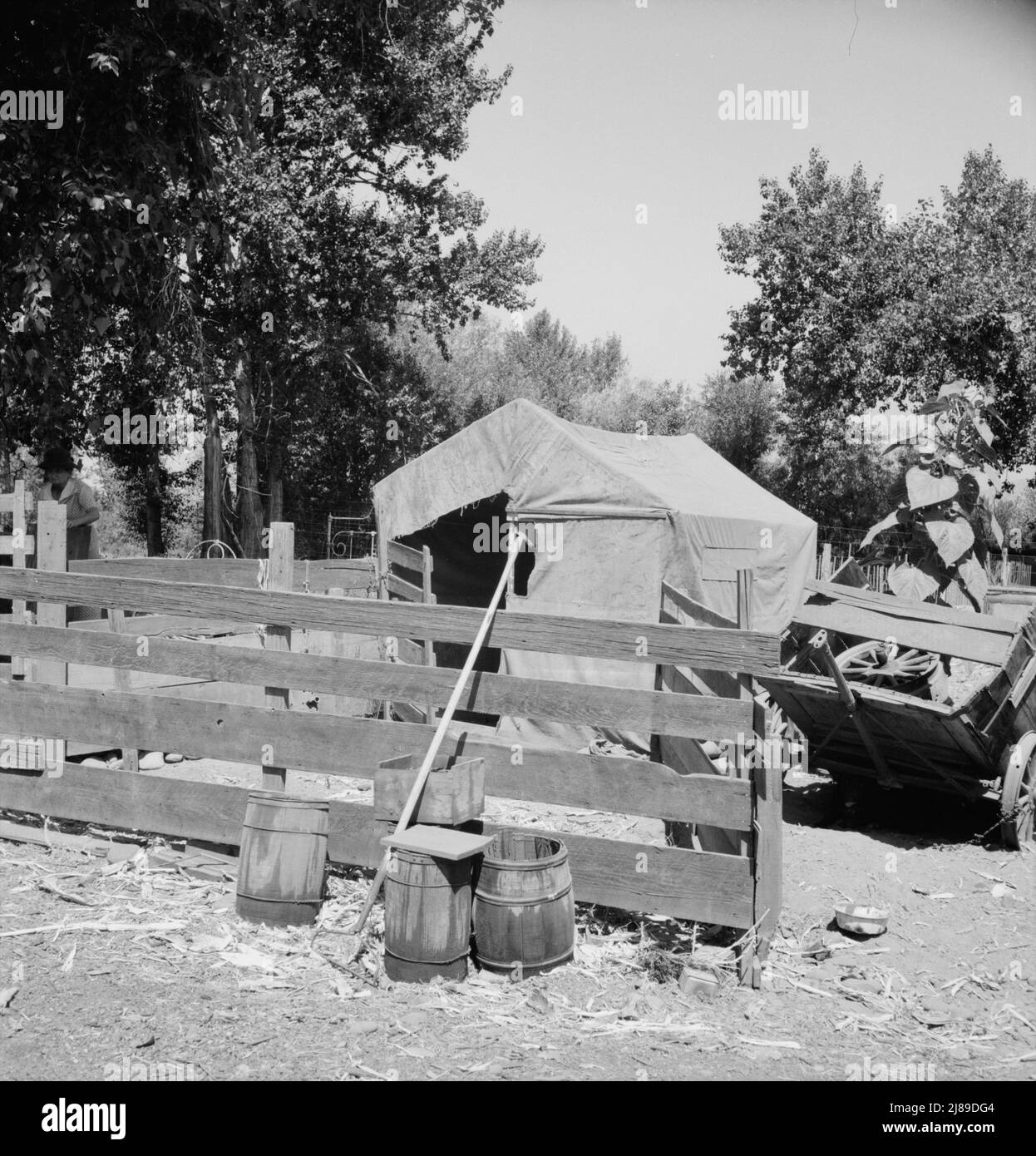 The great depression 1930s fence hi-res stock photography and images ...