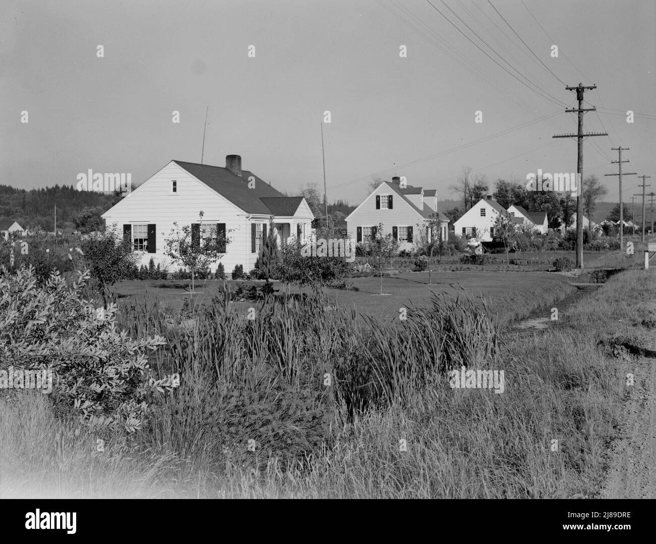 [Untitled, possibly related to: Washington, Cowlitz County, Longview ...