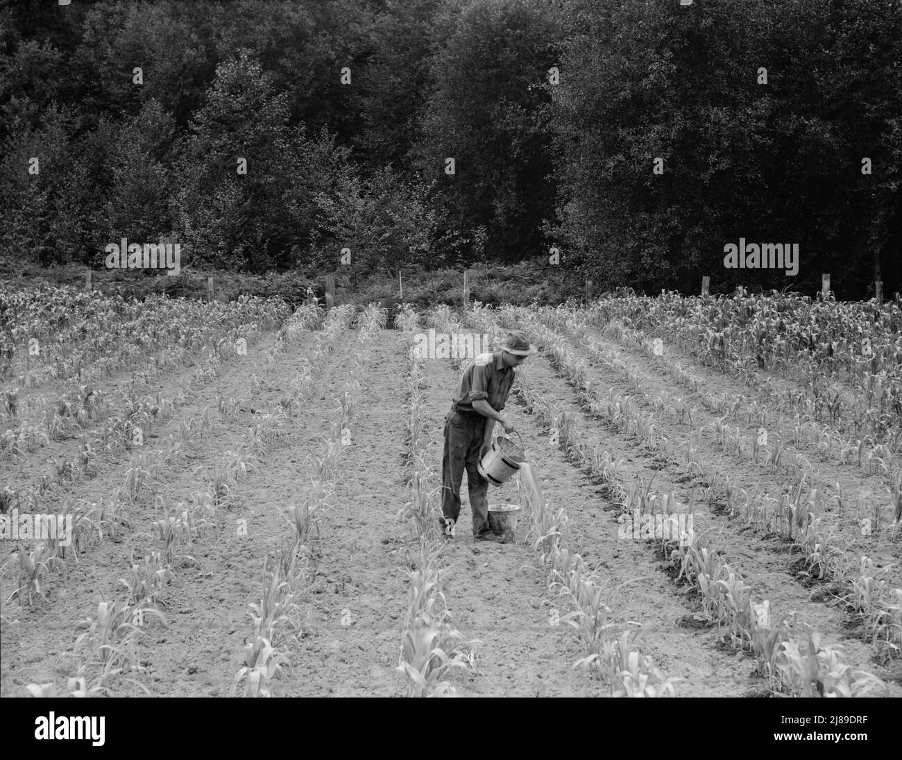 Elma washington hi-res stock photography and images - Alamy