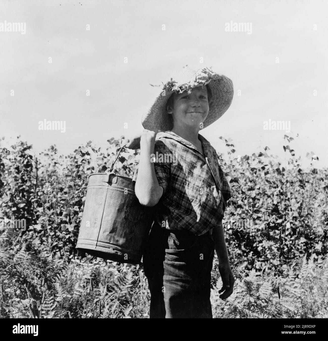 Oregon, Marion county, near West Stayton. Many children work in the ...