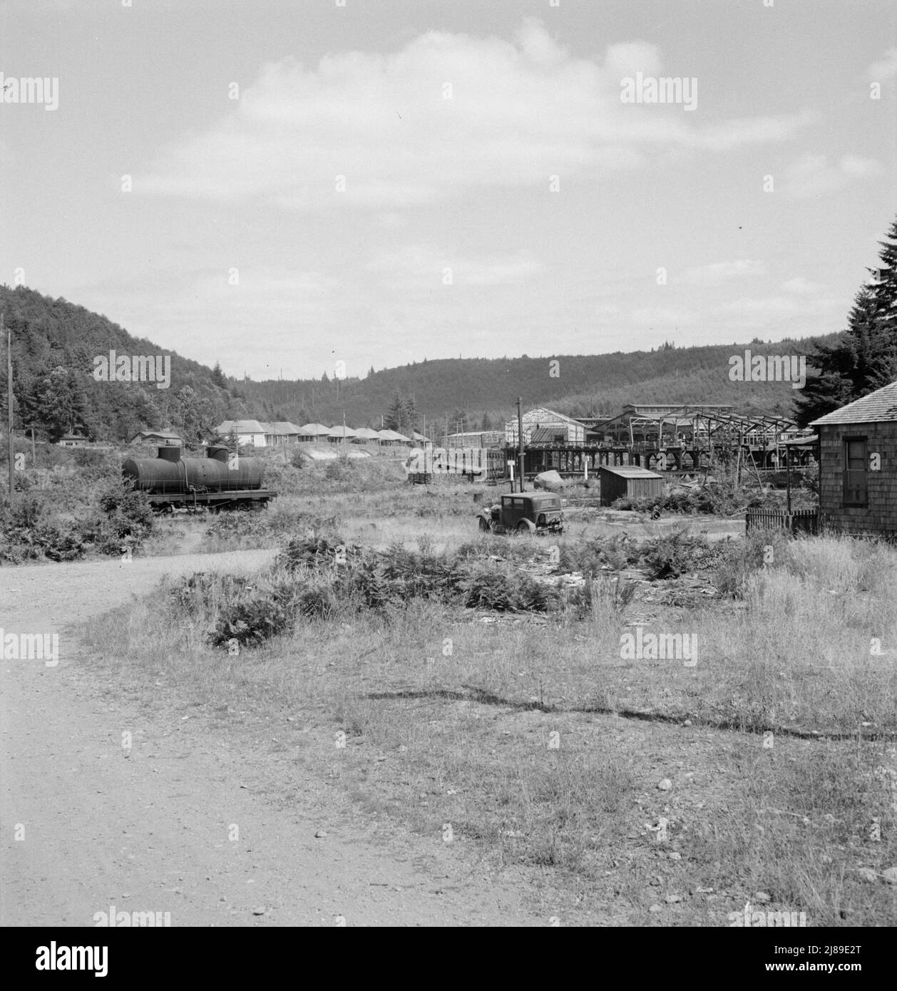 [Untitled, possibly related to: Western Washington, Grays Harbor County ...