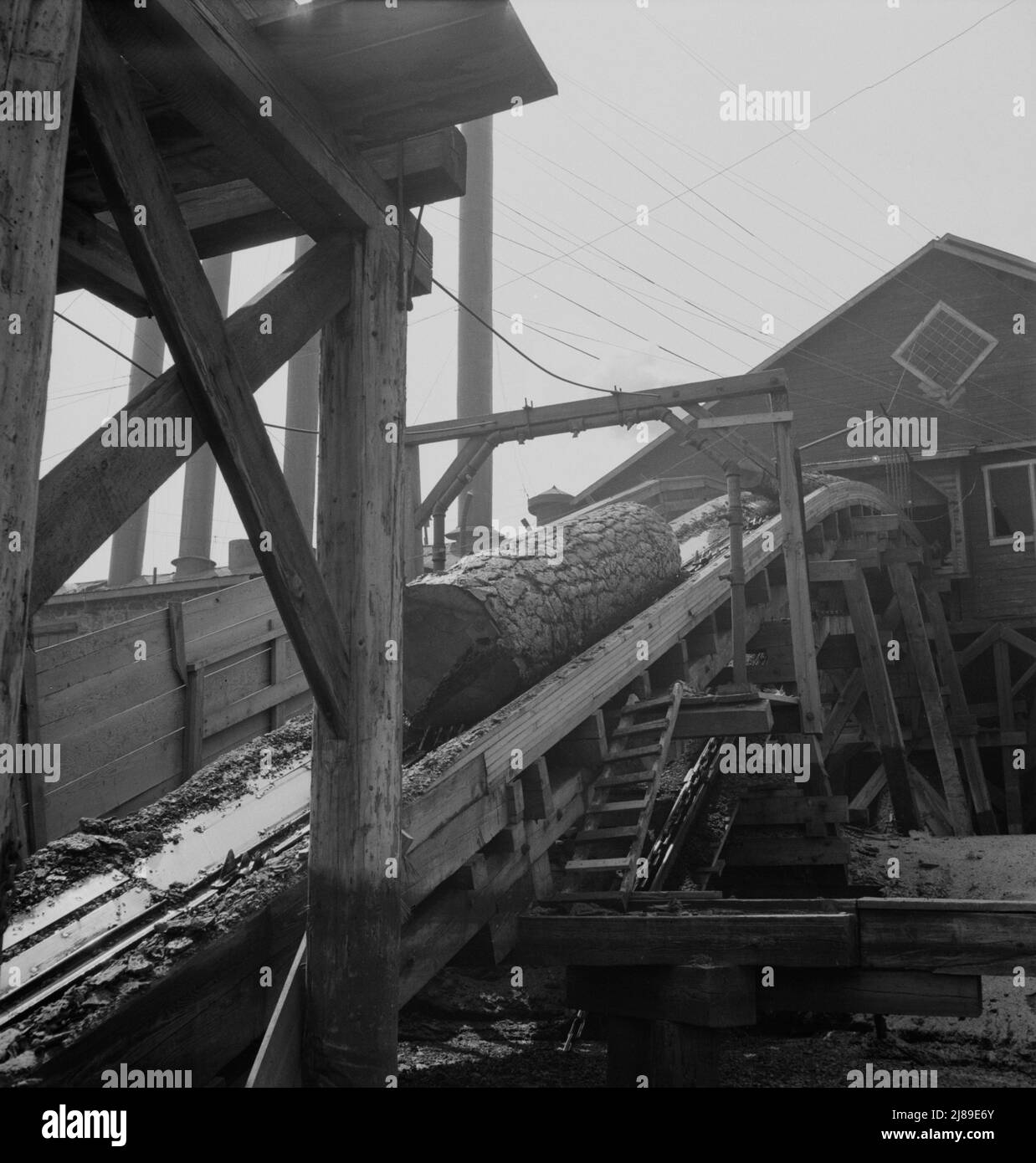 Lumber company hi-res stock photography and images - Alamy