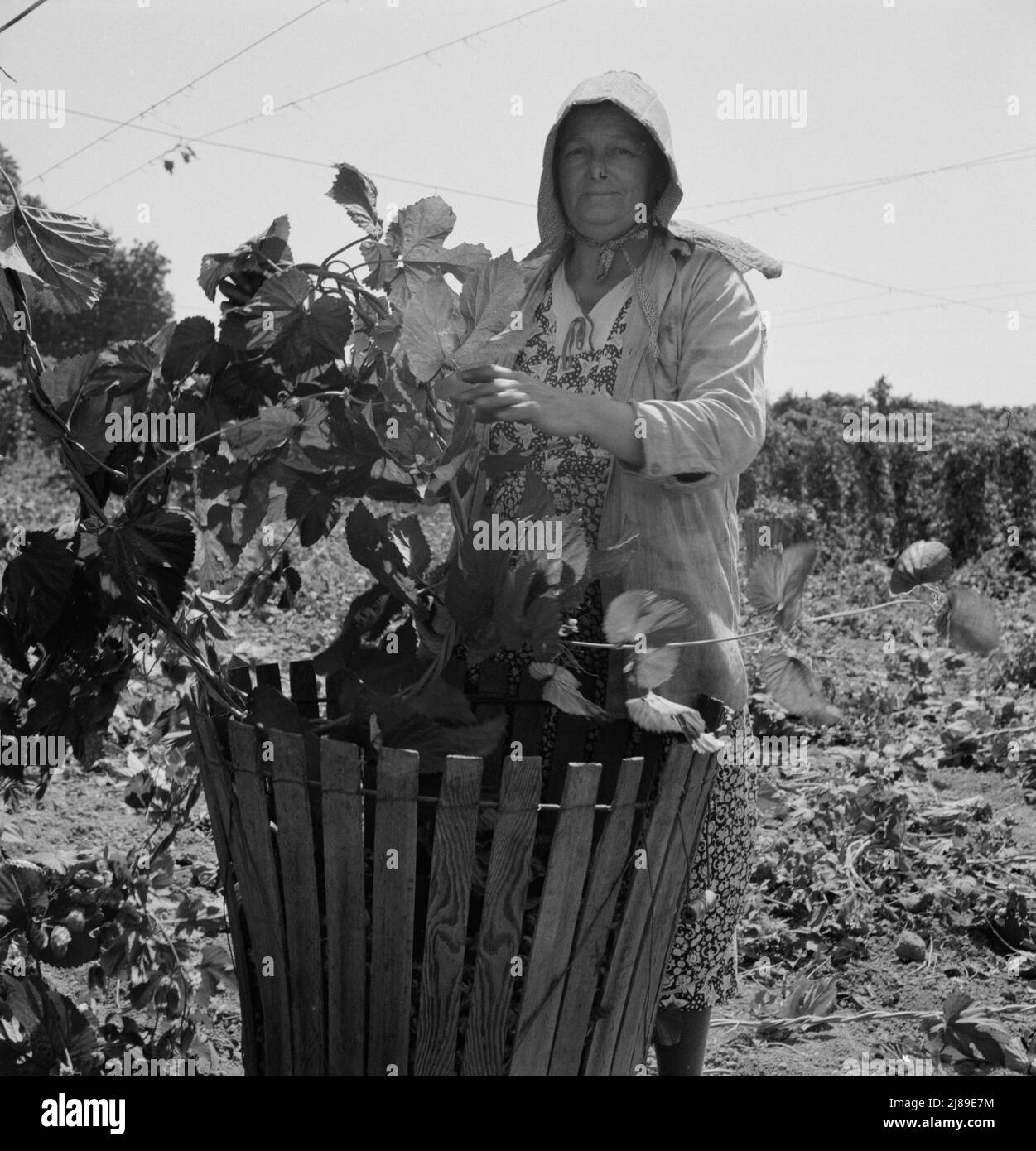 War related migration hi-res stock photography and images - Alamy