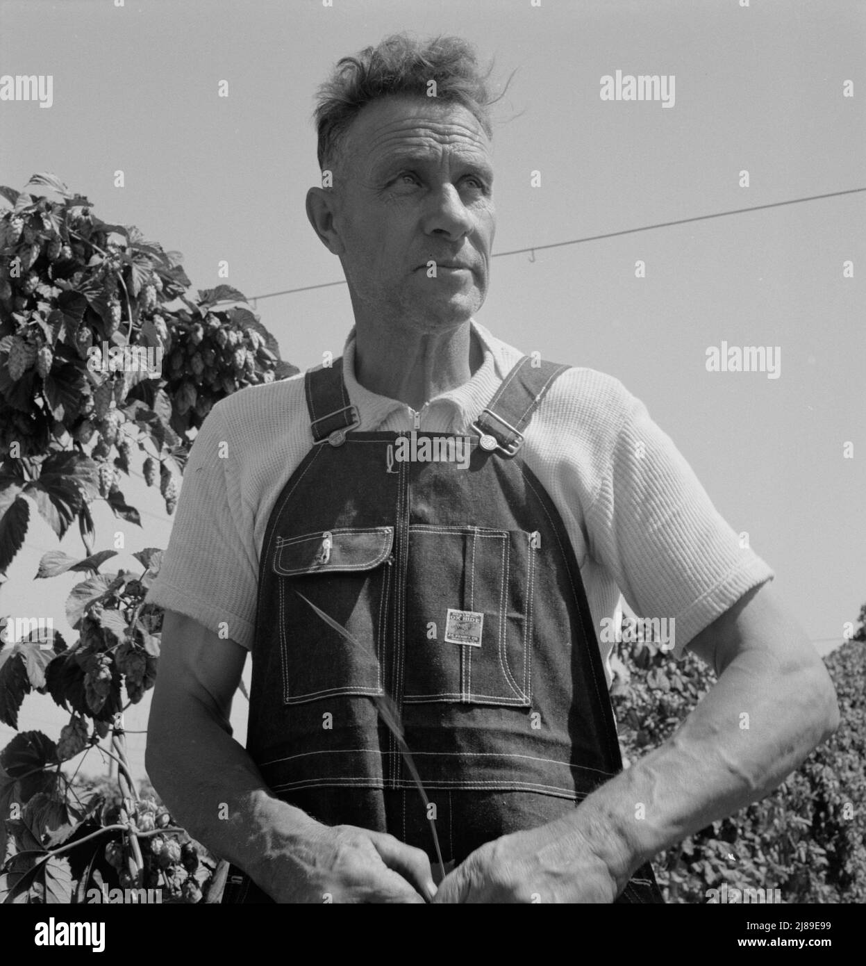 Job owner Black and White Stock Photos & Images - Alamy