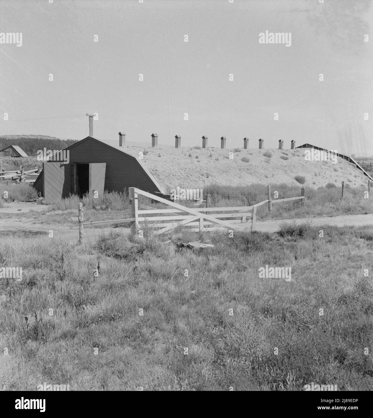 Potato storage cellar hi-res stock photography and images - Alamy