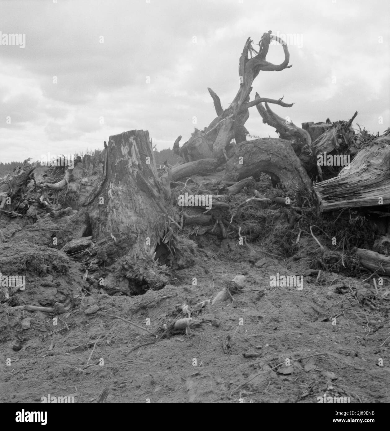 Pile hill Black and White Stock Photos & Images - Alamy