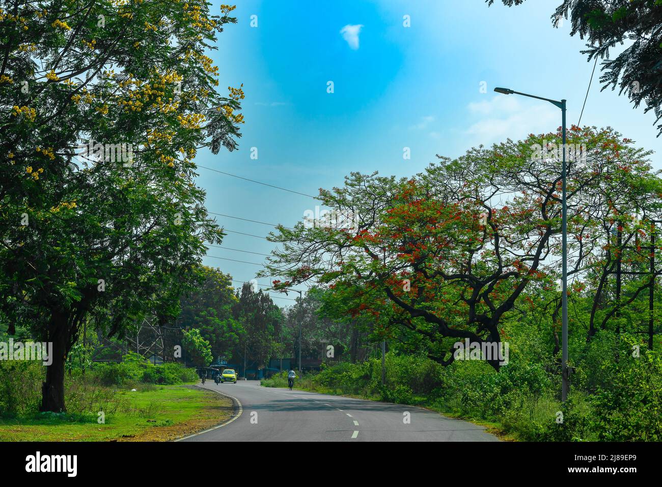 Curvy Road with Beautiful Trees surrounded. Selective Focus is used ...