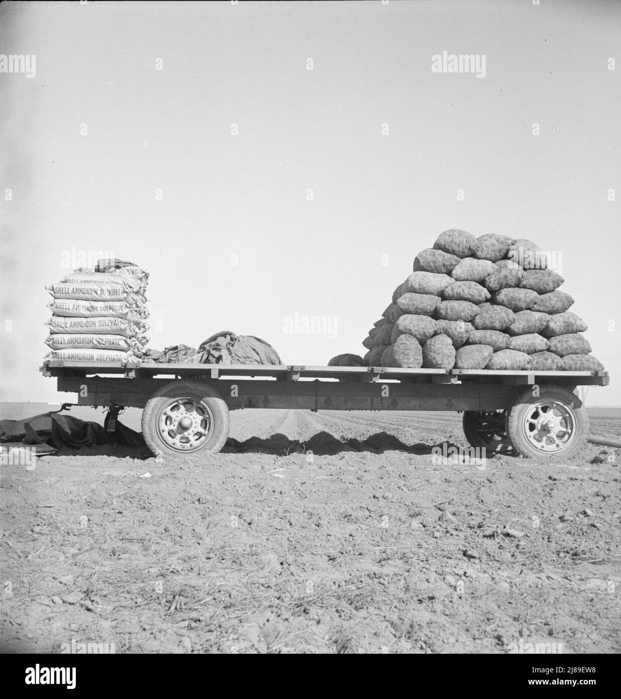 Potato field edge Black and White Stock Photos & Images - Alamy
