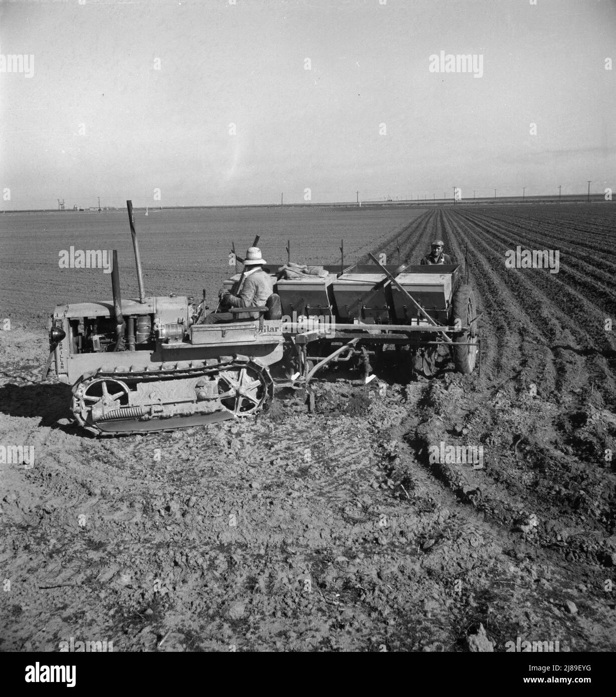 Rows planting Black and White Stock Photos & Images - Alamy