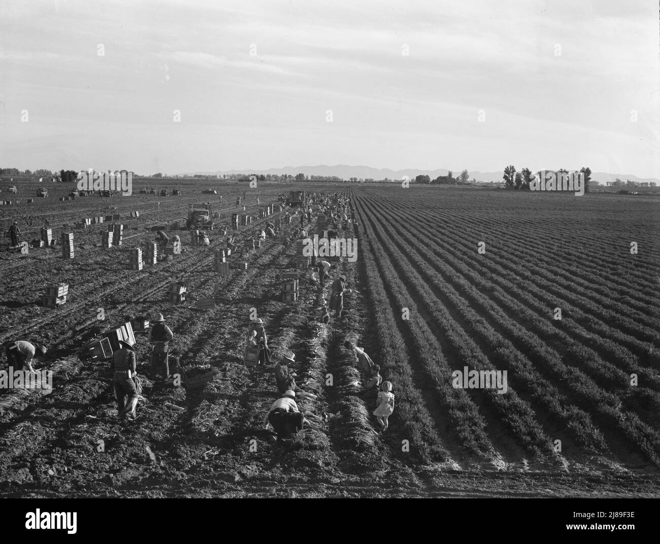 Mexican american workers 1930s hi-res stock photography and images - Alamy