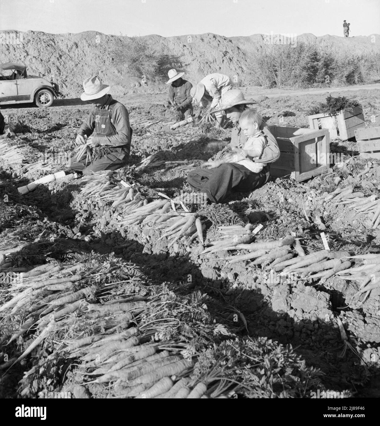 Piecework hi-res stock photography and images - Alamy